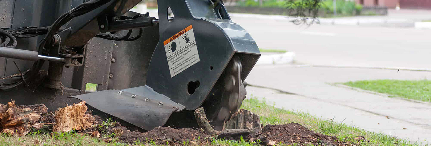 Tree Service, Tree Removal, Tree Trimming Westfield, IN | Indiana